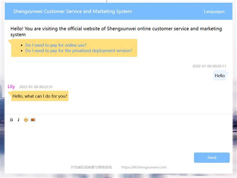 net core and wpf develop shengxunwei online customer service system call baidu translation
