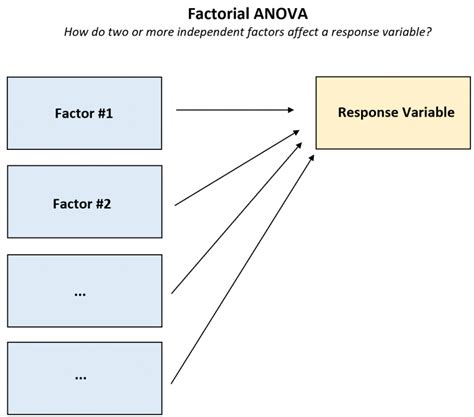 What Is A Factorial Anova Definition And Example