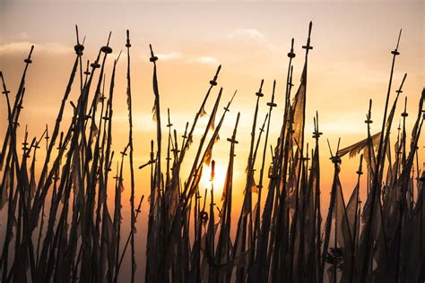 Top Photo Spots At Chelela Pass In 2025