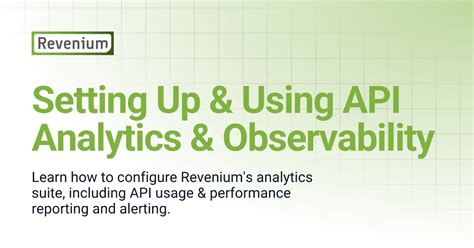 Setting Up And Using Api Analytics And Observability Revenium Developer Docs