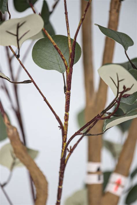 둥근 잎 인공 유칼립투스 나무 시노플로럴