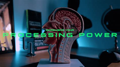 train working memory to boost cognitive processing the bioneer