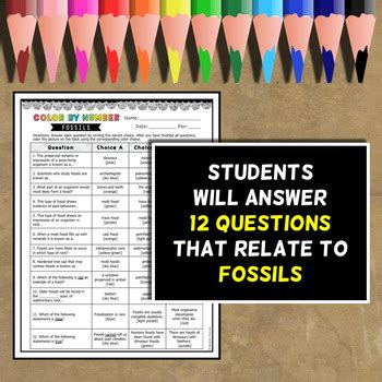 Fossils Color By Number Science Color By Number Review Activity