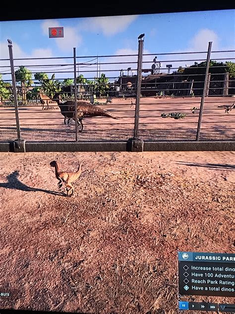 Velociraptor Thrown Out Of Paddock By A Para Rjurassicworldevo
