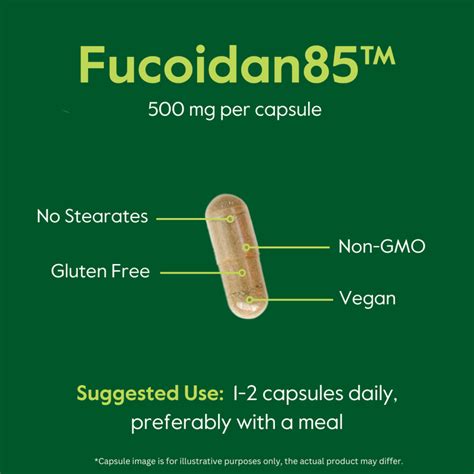 Bestvites Fucoidan 85 500 Mg 120 Vegetarian Capsules —