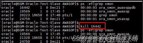 Centos7下使用docker安装oracle12ccentos7 Docker Oracle12c Csdn博客