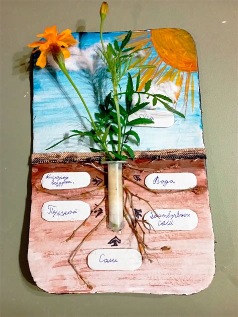 Задача для третьего класса 251022 2234 Пикабу