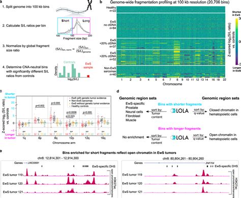 Regional Fragment Size Analysis Detects An Ews Tumor Specific