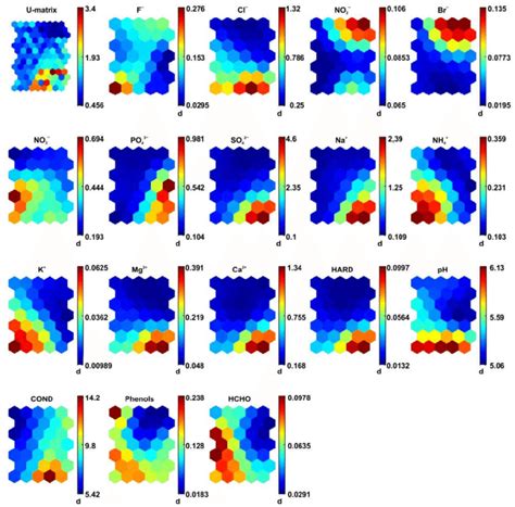 Self Organizing Maps Of Kohonen All Samples All Variables Download