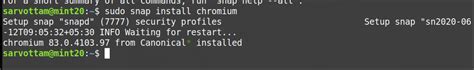 How To Enable Snap And Install Snap Packages On Linux Mint