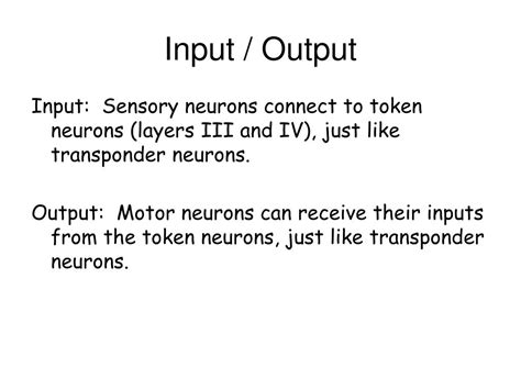 PPT A Theory Of Cerebral Cortex Or How Your Brain Works Andrew Smith CSE PowerPoint