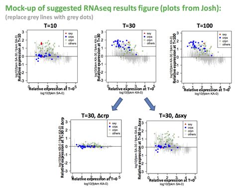 RRResearch What We Learned From The RNAseq Data Part 1