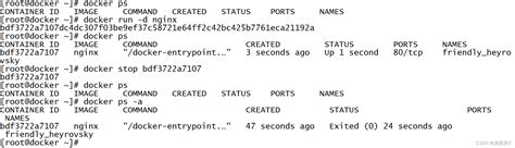 docker基础知识 csdn博客