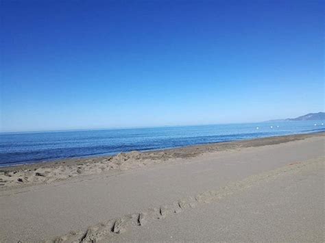 Les Meilleures Choses à Faire à Pescia Romana 2024