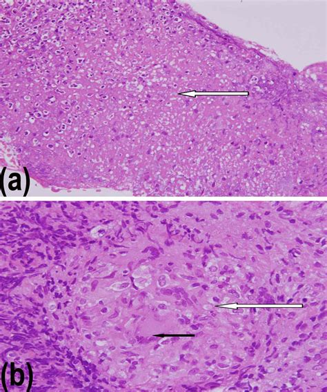Oman Medical Journal Archive