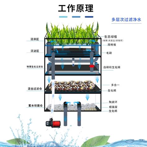 关于养龟的沼泽过滤问题 实用 哔哩哔哩