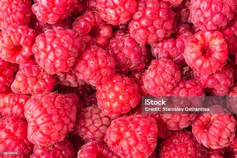 빨간 잘 익은 딸기 딸기 클로즈업 라즈베리 레드 베리 배경의 매크로 사진 건강한 생활방식에 대한 스톡 사진 및 기타 이미지 건강한 생활방식 건강한 식생활 고급