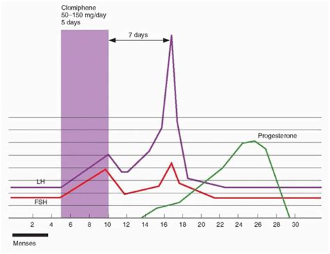Induction Of Ovulation Obgyn Key