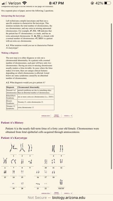 Lab Technicians Compile Karyotypes And Then Use A Chegg Com