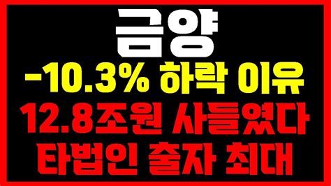 금양 주가전망 긴급 금일 주가 103 하락한 이유 트럼프 보조금 Ira 폐지 대기업 2차전지 100개사 지분 12조 8000억 사들였다 3년간 타법인 출자액