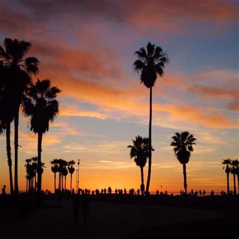 6 Things Better Than Sex Sexuality