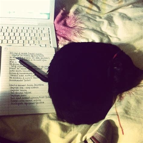 Yolov8 Object Detection Dataset By Pascalvoctoyolo