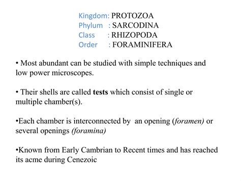 Foraminifera And Its Applications Pptx