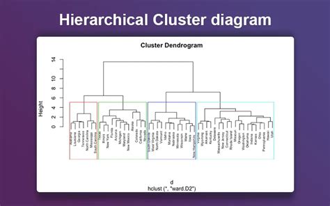 What Is A Cluster Diagram Identify Relationships And Connections