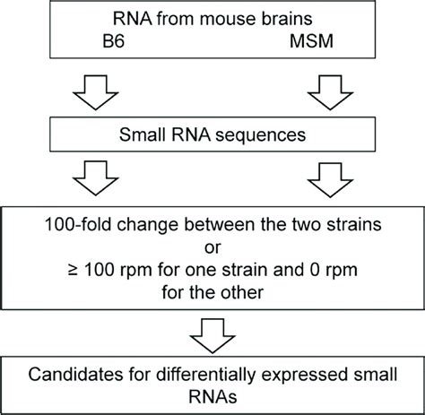 Scheme Of The Analysis Performed In This Study Rpm Read Number Per Download Scientific