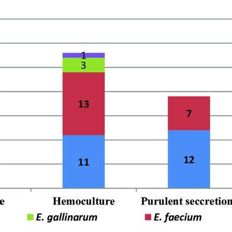 Antibiotic Resistance Profile Of Enterococcus Spp Download Scientific Diagram
