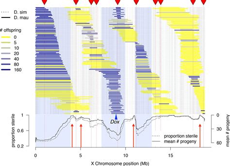Gene Flow Mediates The Role Of Sex Chromosome Meiotic Drive During