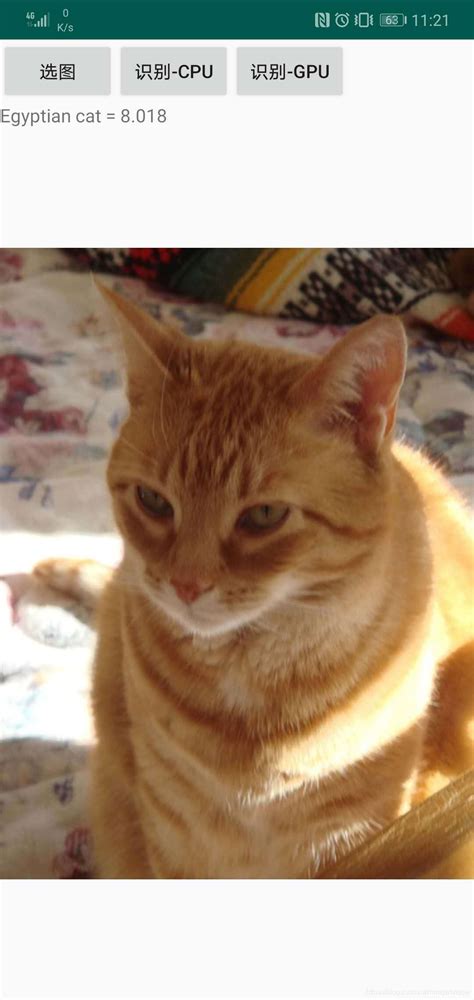 深度学习模型移植pytorch Onnx Ncnn Androidonnx Ncnn Csdn博客