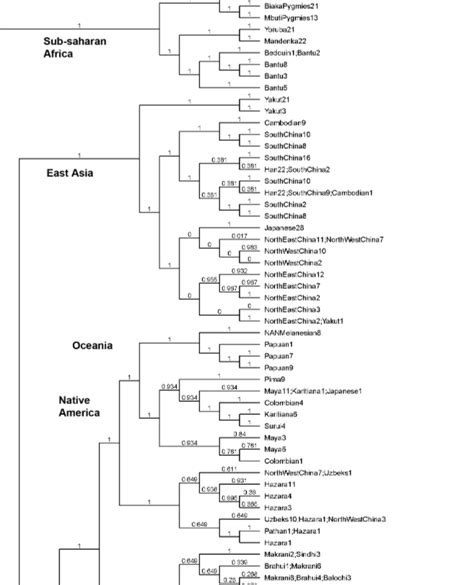 R How To Reduce Branch Length In Ggtree Stack Overflow