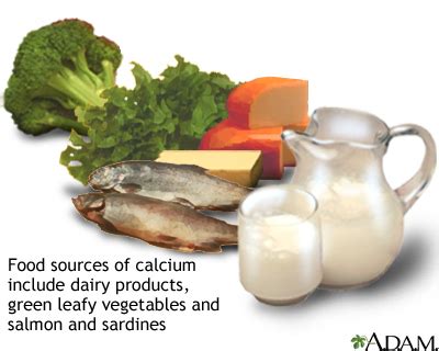 What Causes Bone Loss Uf Health