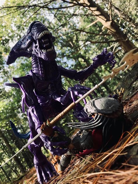 Ahab Vs The Xenomorph Queen R Predator