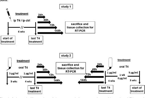 Table 1 From Phenotypical Characterization Of Sex Dependent Traits In