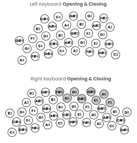 Chromatic Bandoneon Keyboard Layout Omar Caccia