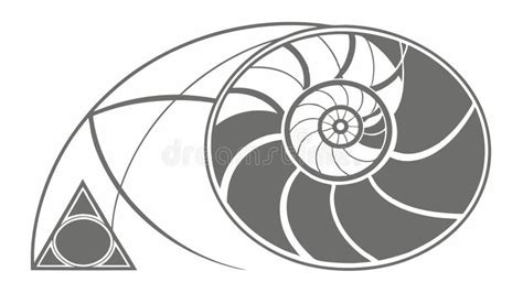 Abstract Fibonacci Spiral Mathematical Beauty Nature S Pattern
