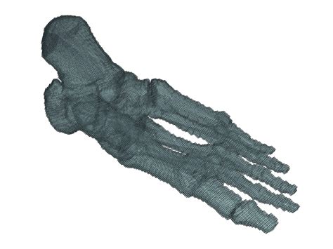 Voxelize A Surface Mesh PyVista Documentation