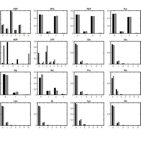 Isotope Tracer Analysis And Metabolic Flux Analysis Mccullagh Research Group