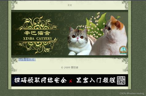 记封神台的一次sql注入靶场渗透测试harkbar Sql 注入测试 Csdn博客