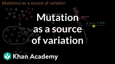 Mutation As A Source Of Variation Gene Expression And Regulation AP Biology Khan Academy