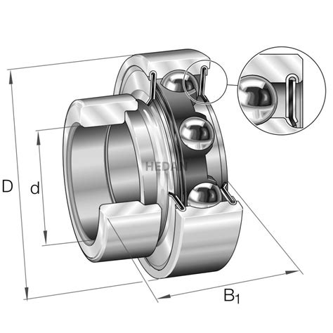 Rae Xl Npp Fa Ina Bearing