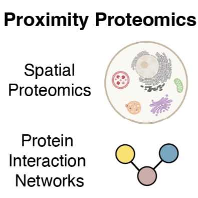 A Proximity Proteomics Pipeline For Subcellular Proteome And Protein Interaction Mapping