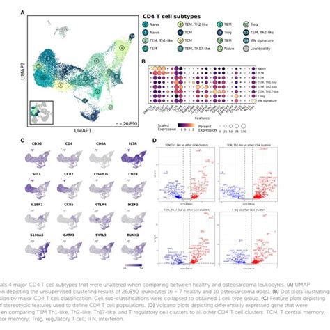Unsupervised Clustering Reveals 42 Unique Cell Populations In Healthy