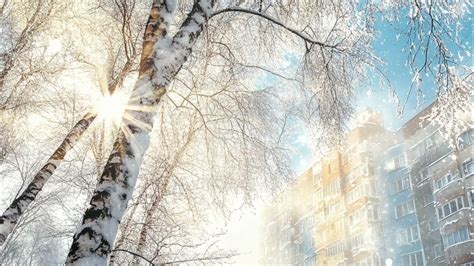 Сергей Есенин — Белая береза под моим окном Youtube