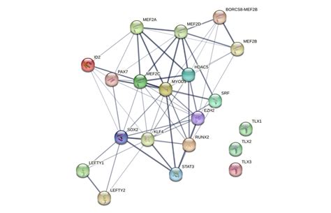 Pathcards Cell Differentiation Expanded Index Pathway And Related Pathways
