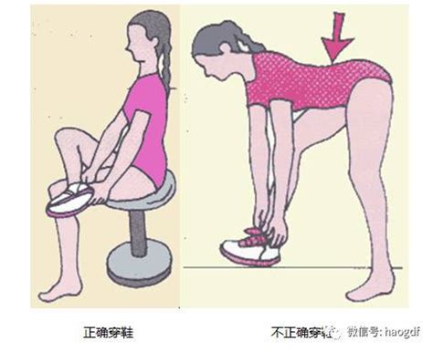 腰椎间盘突出锻炼图 第四五腰椎间盘突出图 腰椎4一5节位置图 第9页 大山谷图库
