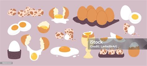만화 달걀 클립 아트 메추라기와 닭고기 깨진 껍질과 깨진 달걀 껍질 단백질 음식 다양 한 요리 튀김 원시 및 삶은 인종 벡터 세트 가금류에 대한 스톡 벡터 아트 및 기타