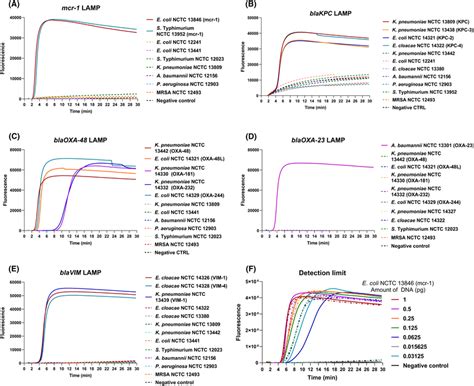 Validation Of Five AMR LAMP Assays LAMP Assays Were Developed Download Scientific Diagram